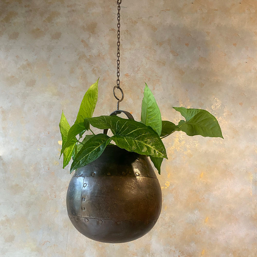 Rustic Hanging Planter– Sunshine Boulevard