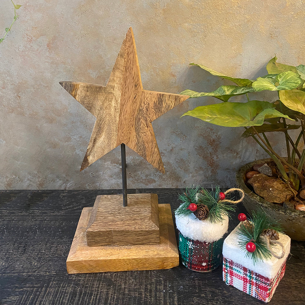 Wooden Star on Stand– Sunshine Boulevard