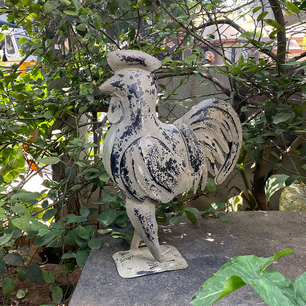Decor Animals– Sunshine Boulevard