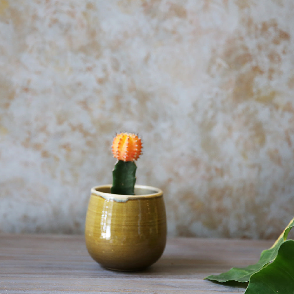 Haze Mini Planter– Sunshine Boulevard